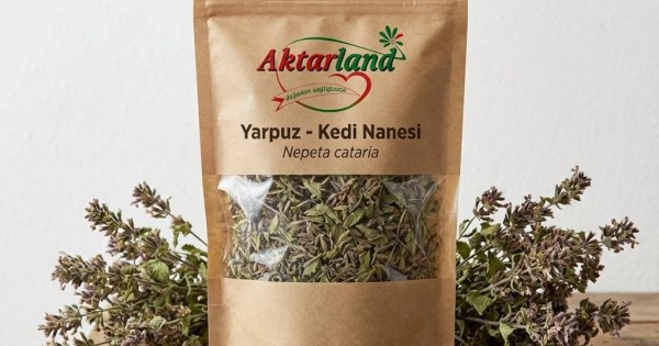 Yarpuz Kedi Nanesi | Faydaları, Kullanımı ve Sağlık Etkileri | Aktarland